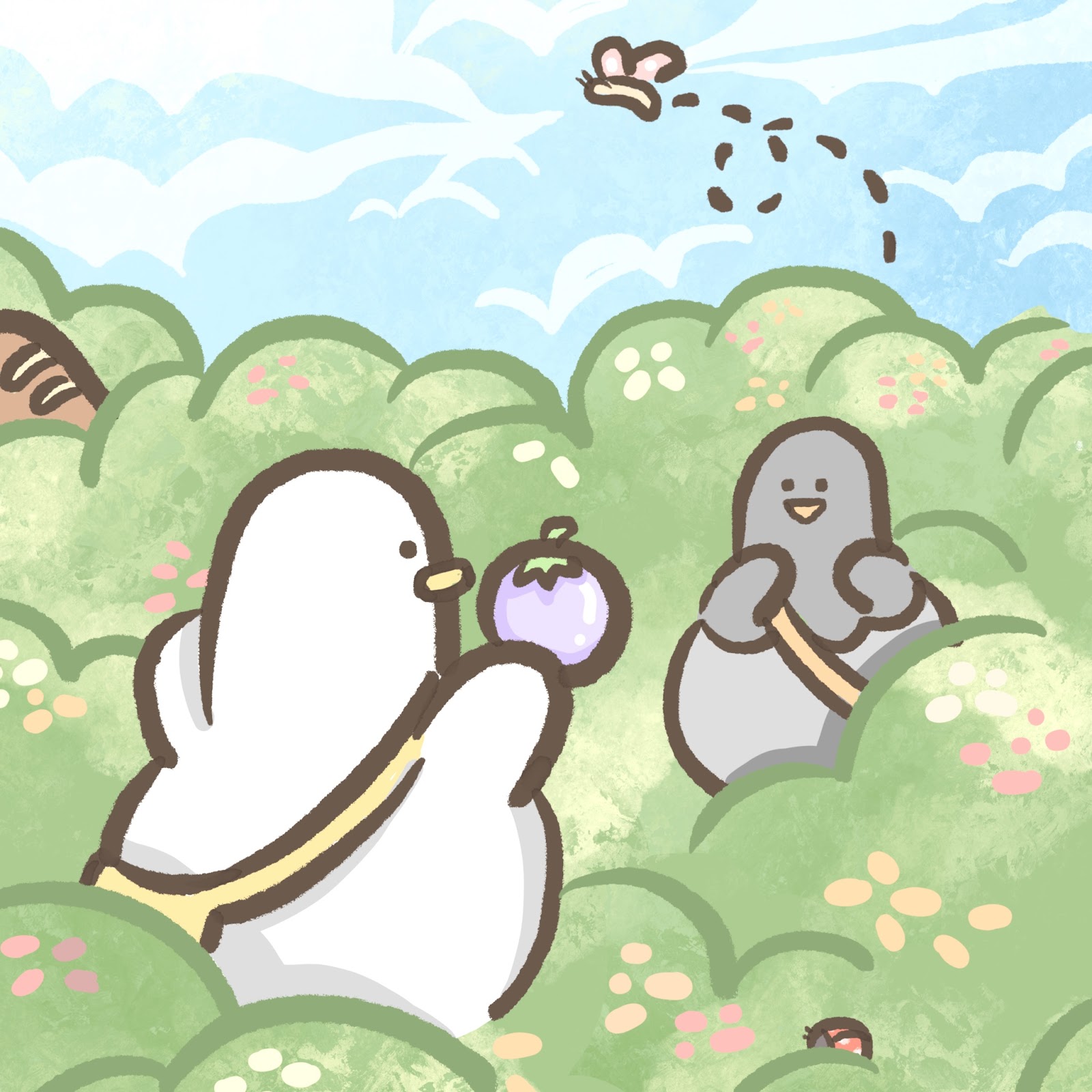 Berry Winkle berry-winkle